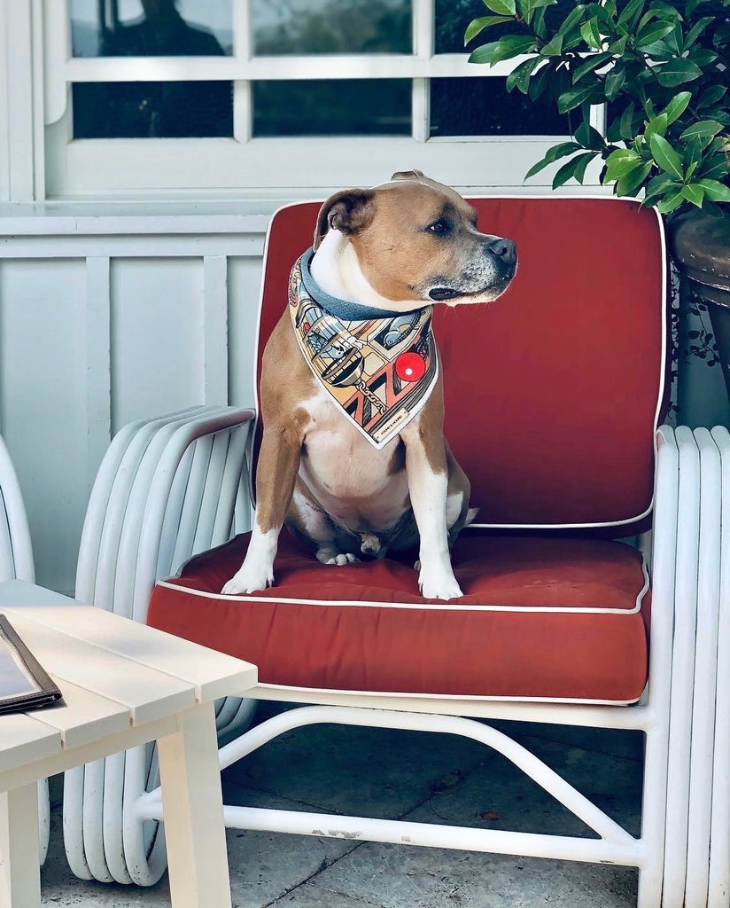 FOUND AND HOUND – FOUND & HOUND